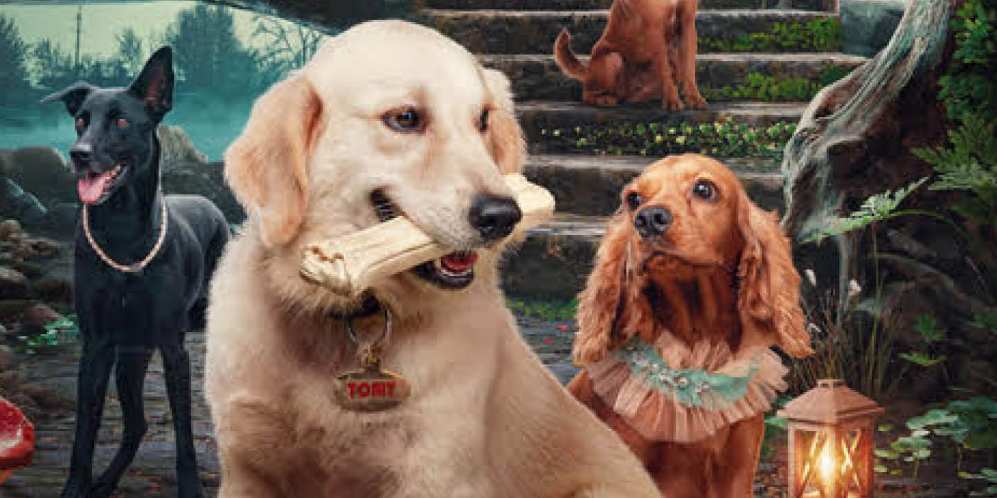 Valatty | Novo Cinemas